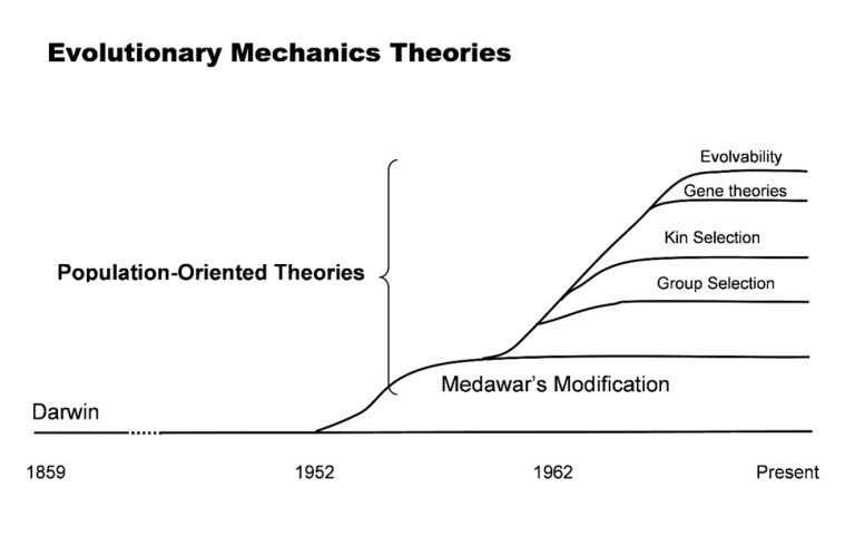 Aging Theories - Why we age and how to increase longevity